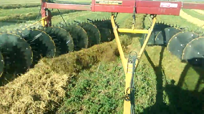 Uncle Jay raking alfalfa hay, 30 ft darf rake -- Jay Noone