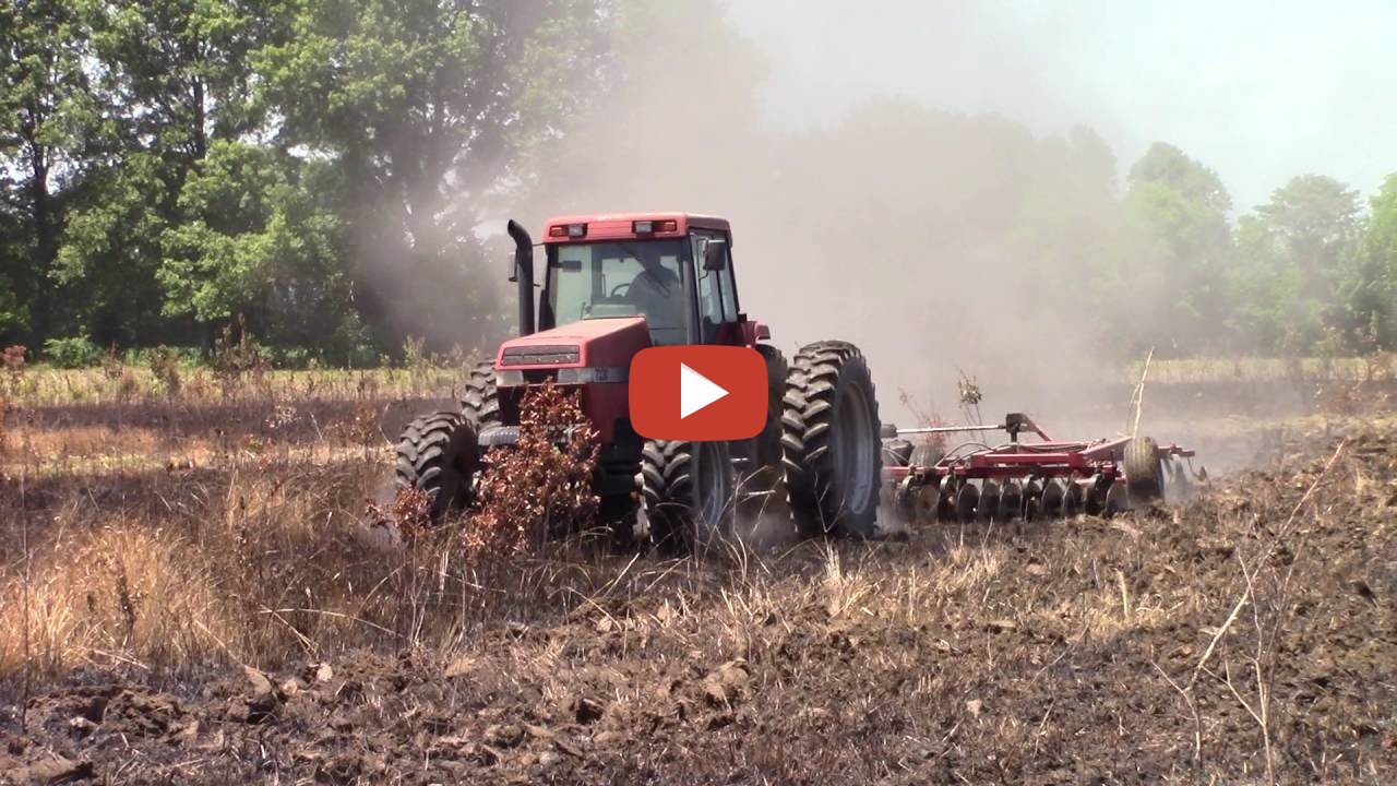 Case IH 7230 MAGNUM tractor disking up CRP set aside ground ahead of ...