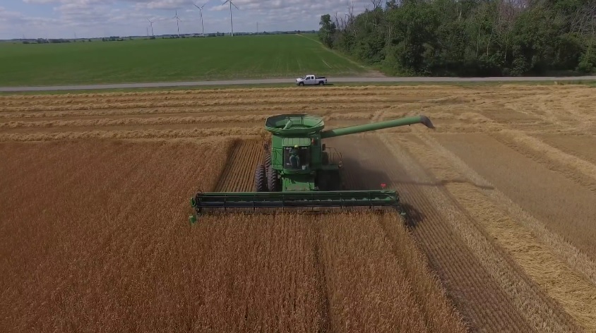 Rick Snyder Wheat Harvest In loving memory of Rick Snyder-- Isiac Bowersock