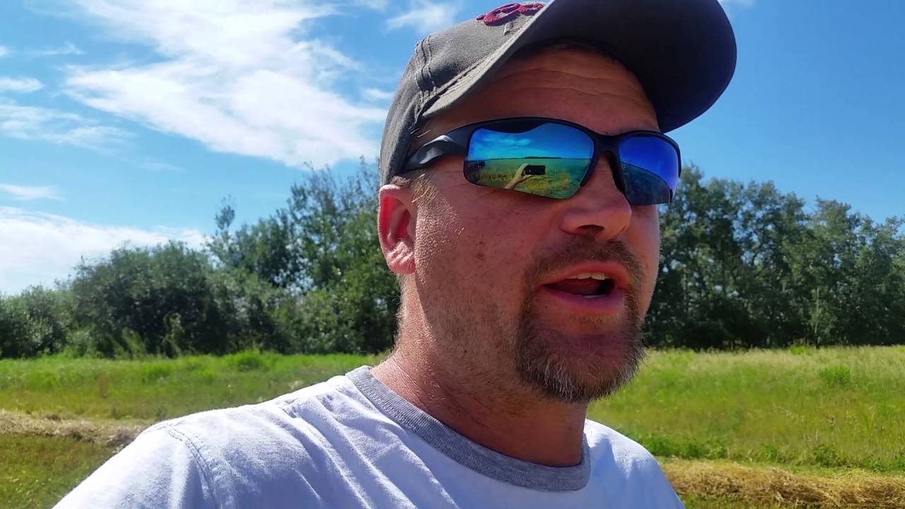 I explain why we swath instead of straight cutting with the combine ...