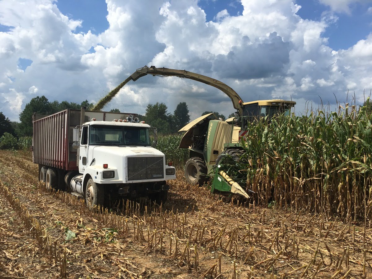 Krone Big X V12 Chopping Corn -- bigtractorpower