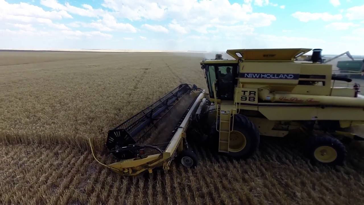Van Dyke Farms 2016 Winter Wheat Harvest -- Les Rispens