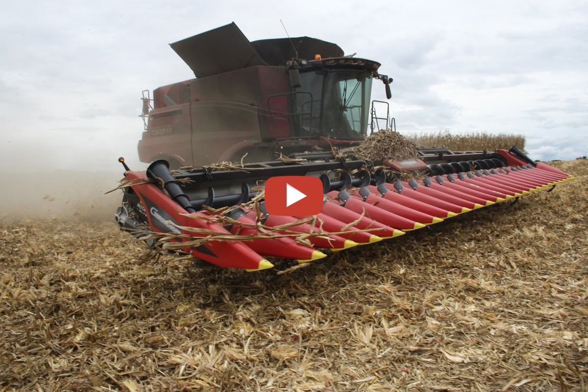 24 Row Corn Head Geringhoff Rota Disc -- bigtractorpower