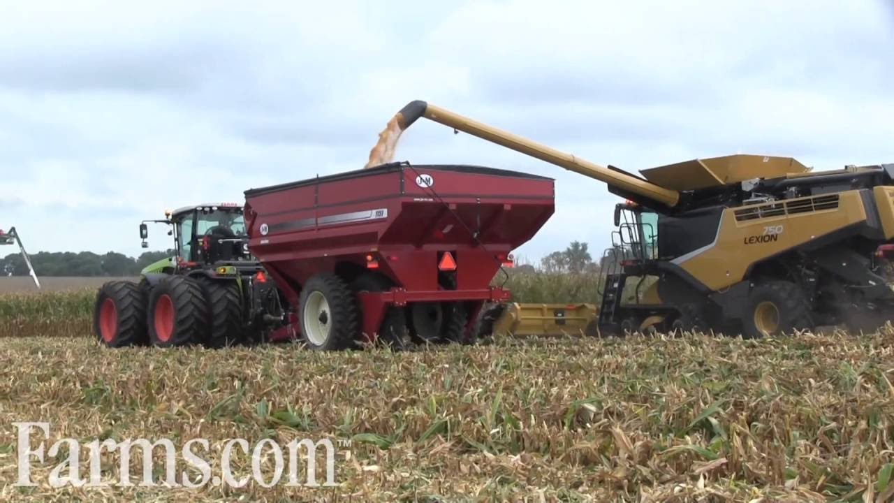 Farm Progress Show 2016 Corn Harvest Demo with CLAAS LEXION 750TT ...