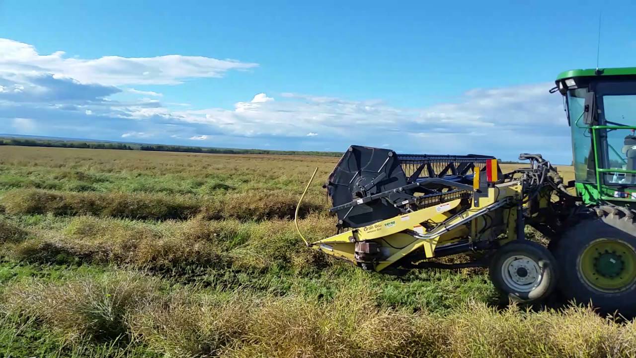 Finished Swathing Canola Update... harvest 2016 -- Northern farmer