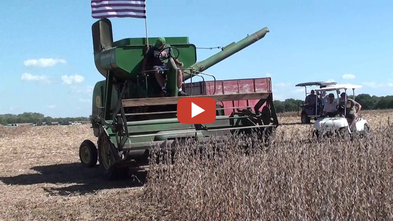 HARVESTING SOYBEANS WITH ANTIQUE JOHN DEERE OLIVER COMBINES ...