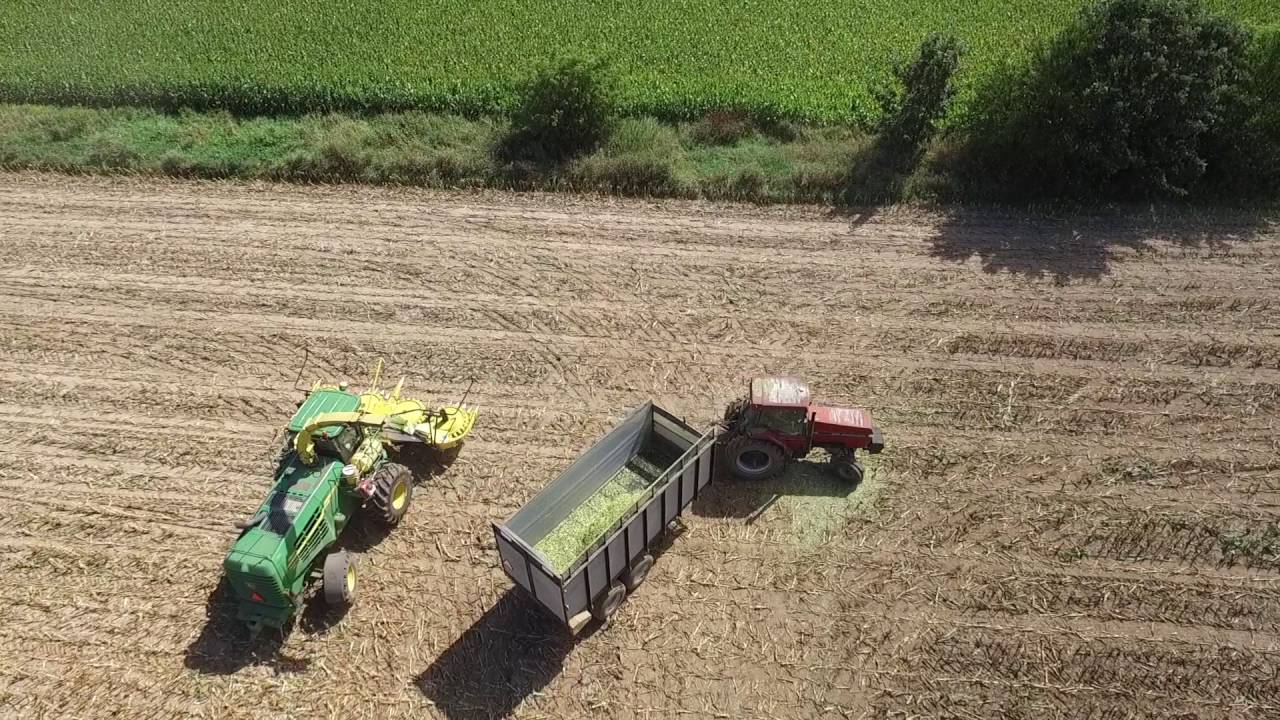 The first day of chopping corn silage at Schurecrest Farms 2016.