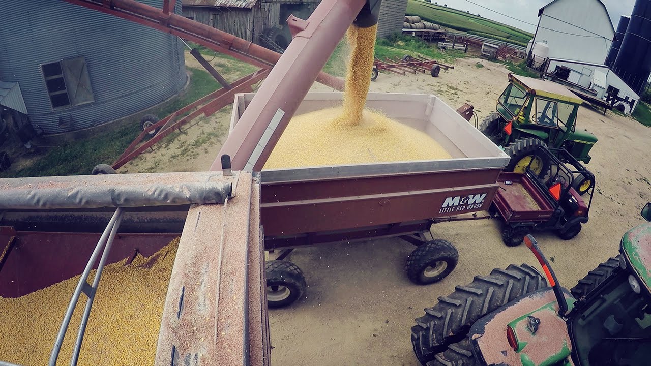 Transferring Corn for Feed -- How Farms Work