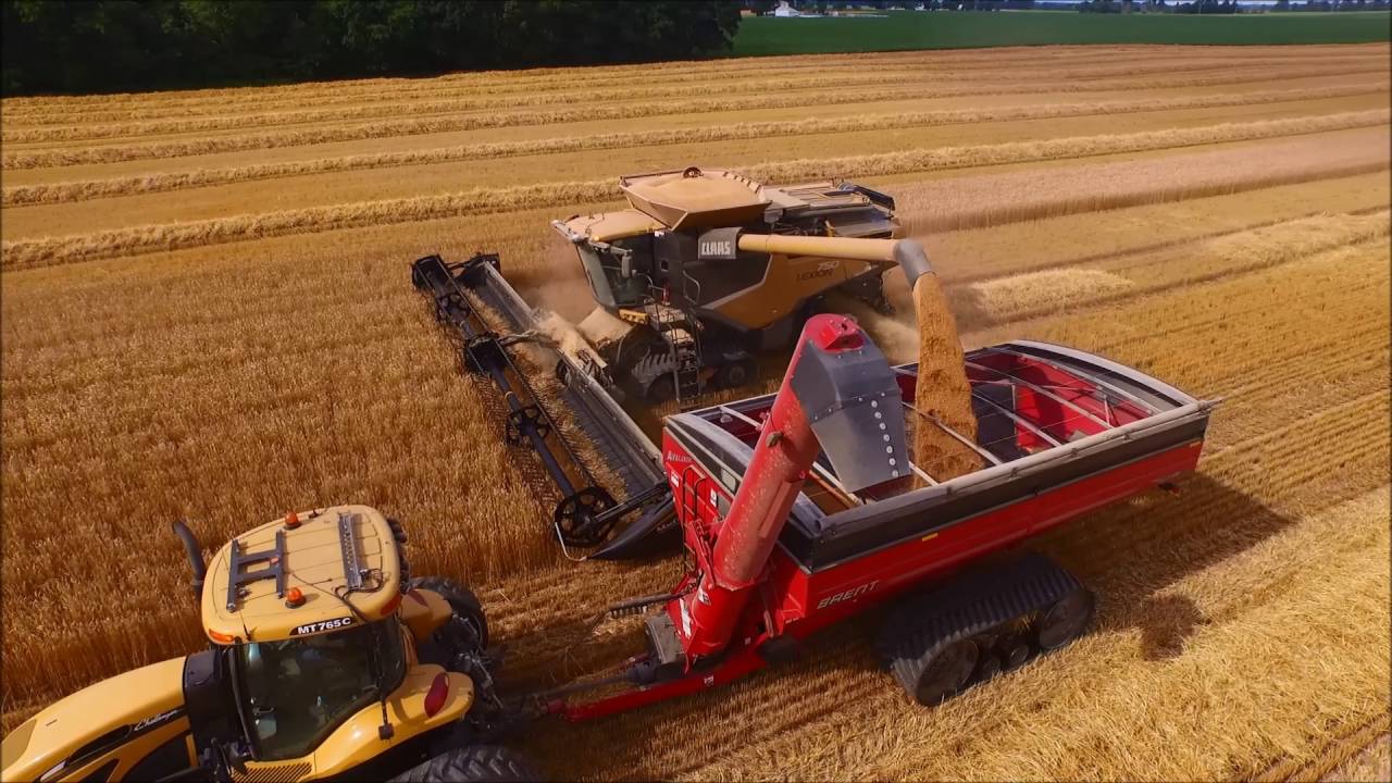 Watkins Farm. 2016 wheat harvest in Kenton Ohio. Two Claas combines ...