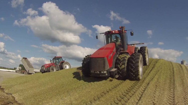 Chopping corn silage near Versailles Ohio -- Mike Less