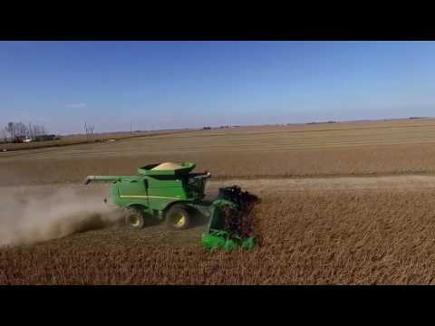 Larson Farms. Combining soybeans at our field DA1 in Waterman, Illinois ...
