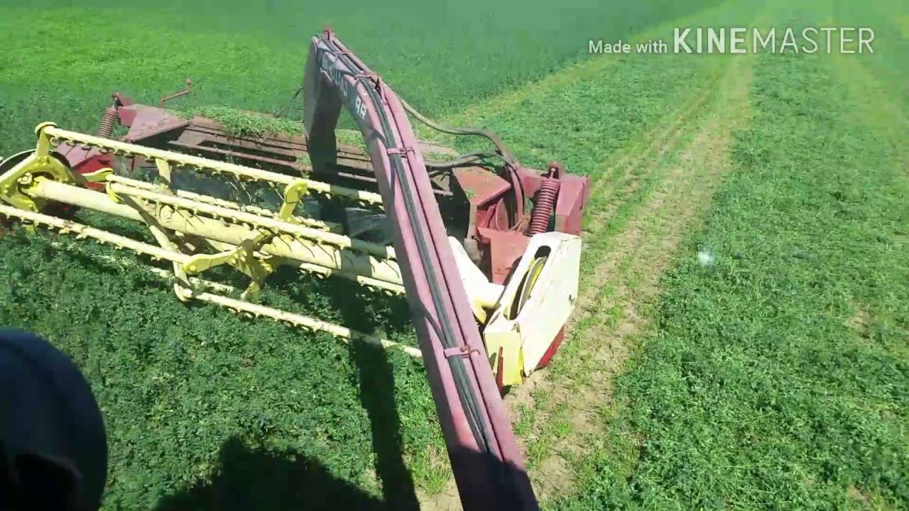 Making our 5th cutting of alfalfa worth the 4250 John Deere and 499 New ...