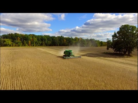 Soybean Harvest 2016: Cybulski Farms -- Paul Vanaman