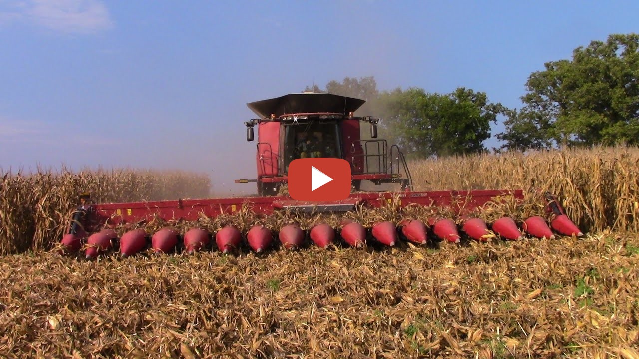 Two Case IH 9240 Combines with 4416 16 row Corn Heads -- bigtractorpower
