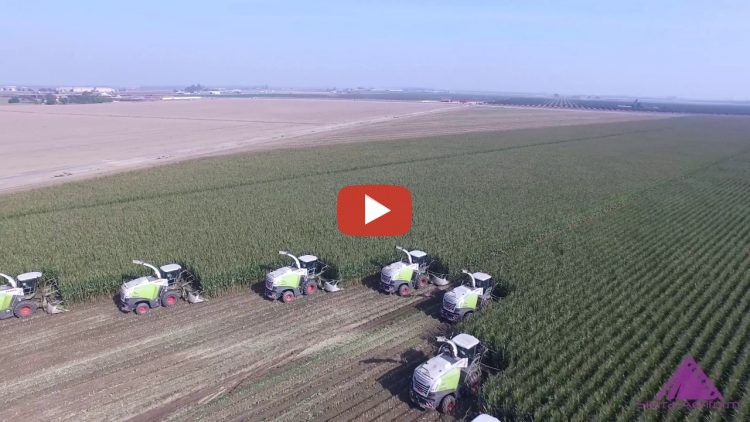 An amazing shoot we did put together by John Fragoso. Corn Harvest 4k ...