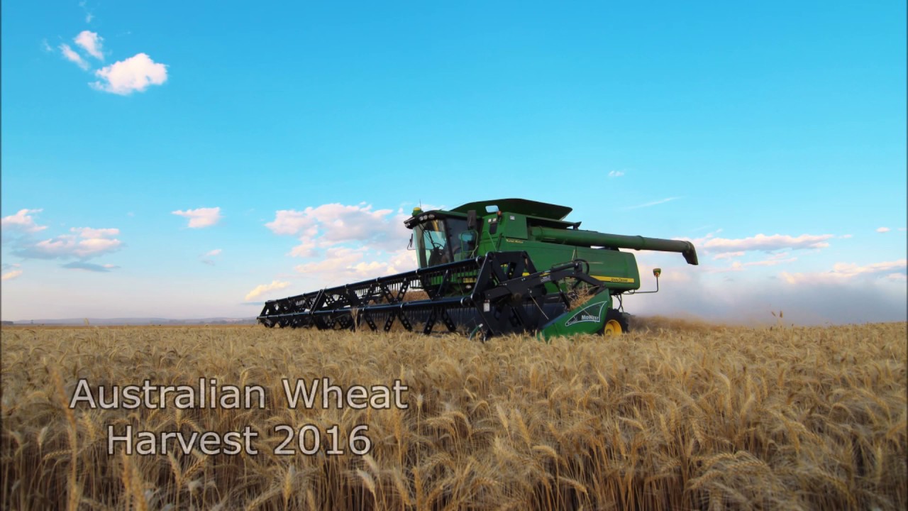 Australian Wheat Harvest of 2016 in Central Queensland Is here! -- CM ...
