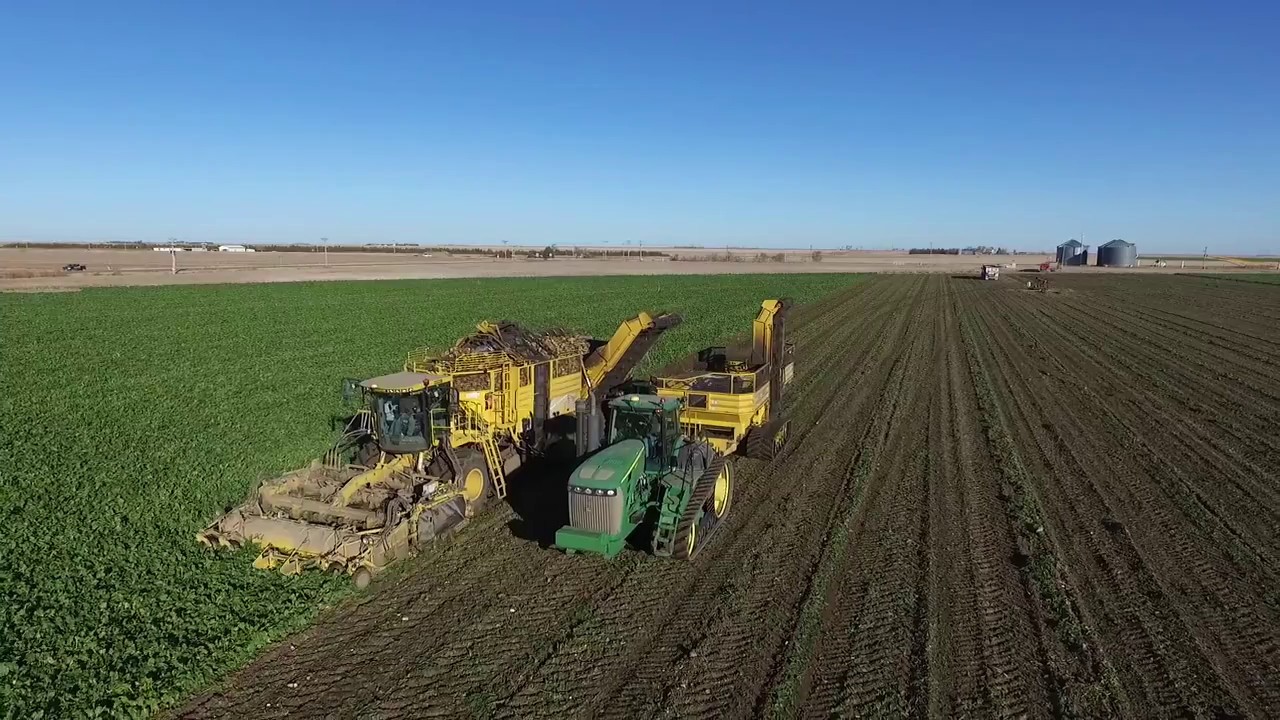 Digging sugar beets in Eastern Colorado with a self-propelled ROPA ...