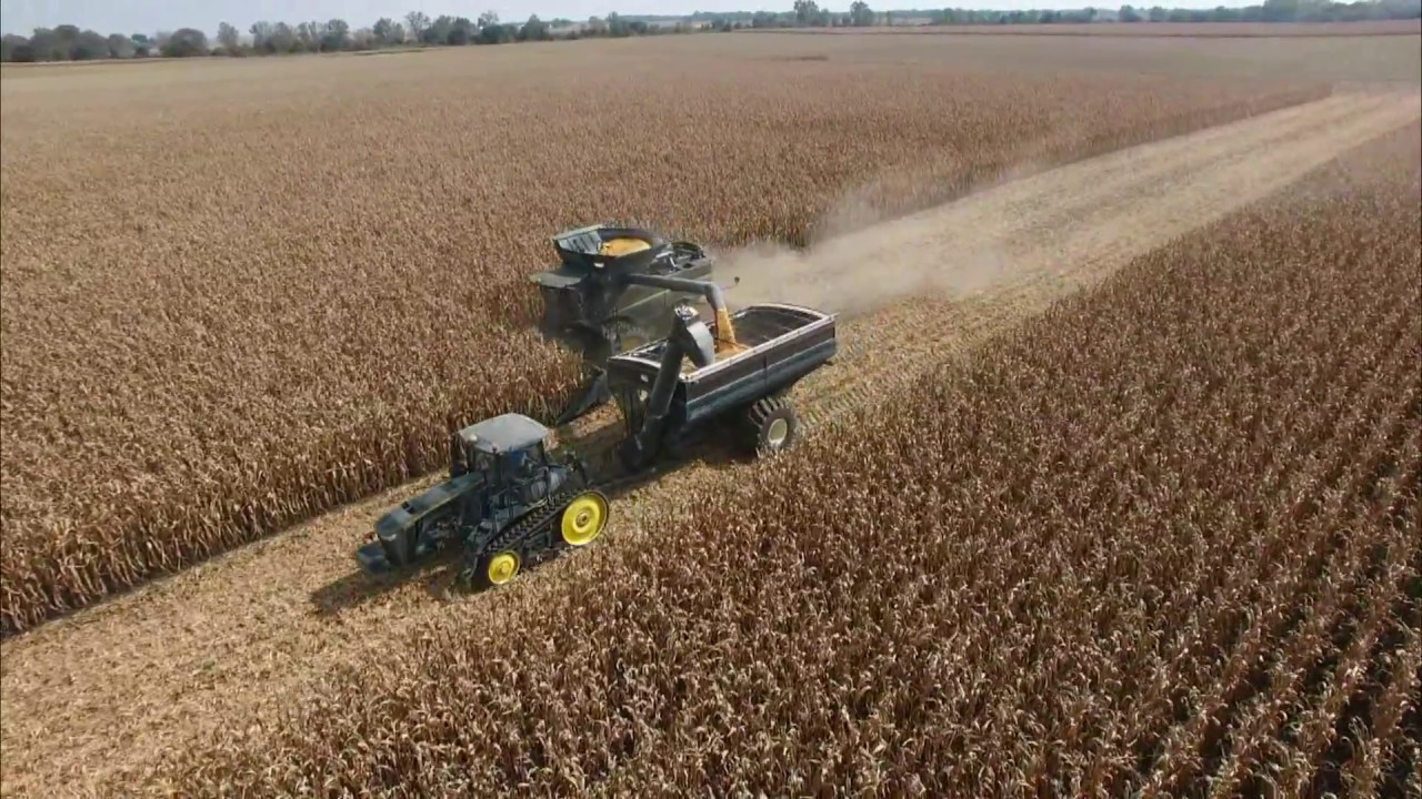 Combining corn - 2016, Chebanse IL, Aerial view -- Ron Lukow