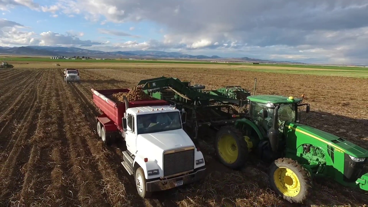 Kimm Brothers Farming Potato Harvest 2016 -- Heath Huitink