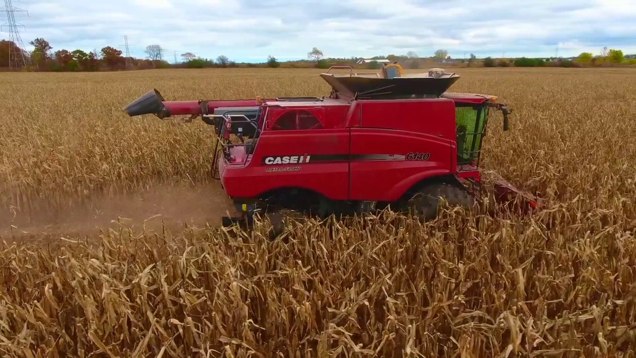 Lange Farms 2016 Fall Harvest Case IH