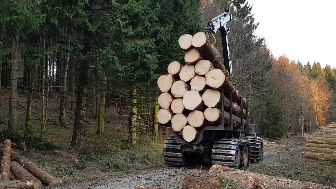 Ponsse Elk loading big logs