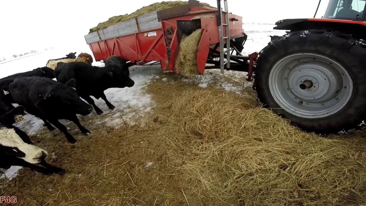 Back to Normal - MF 7616, AGCO 8785, Roorda, Vermeer, Koyker -- Farming ...