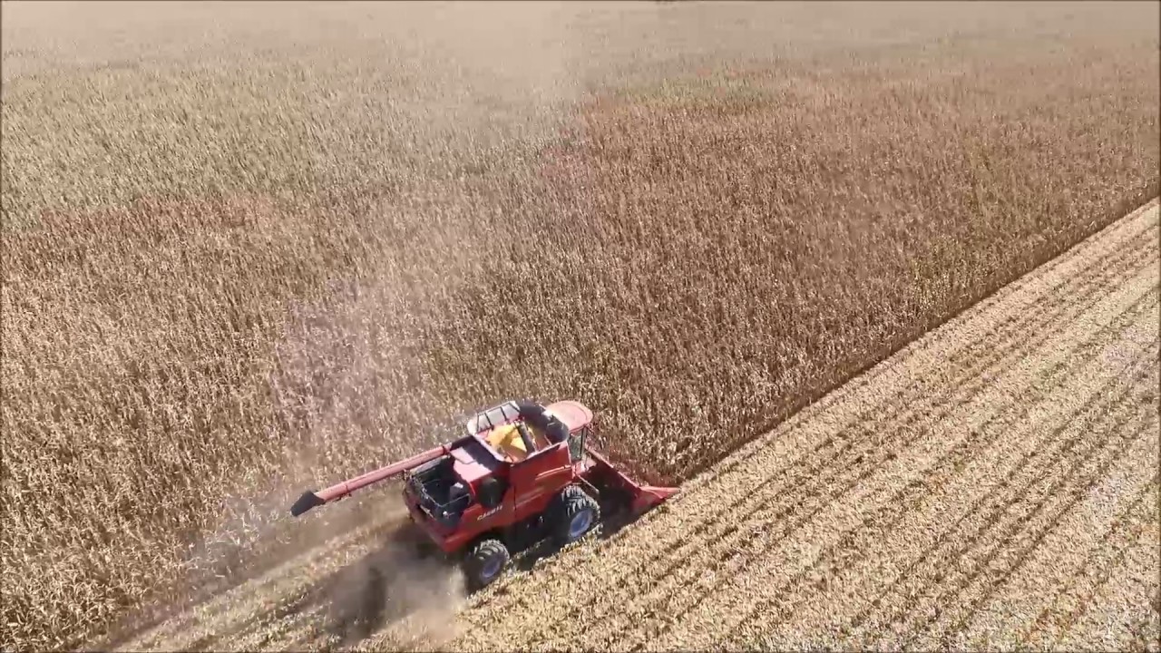 Corn Harvest, Strip Tilling and Tile Installation -- Fritz Farms