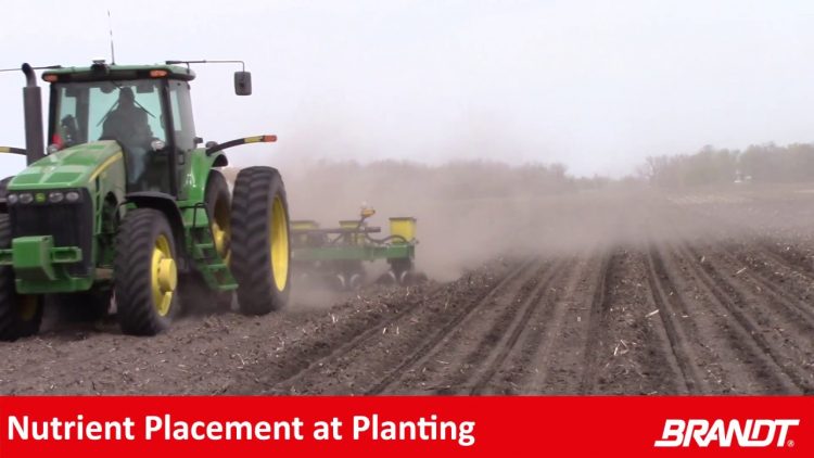 BRANDT Agronomy Update: Nutrition at Planting