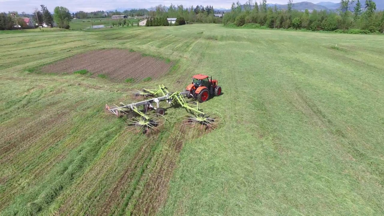 Kubota M7 - 171 KVT pulling CLAAS 4000 rake scholtens equipment