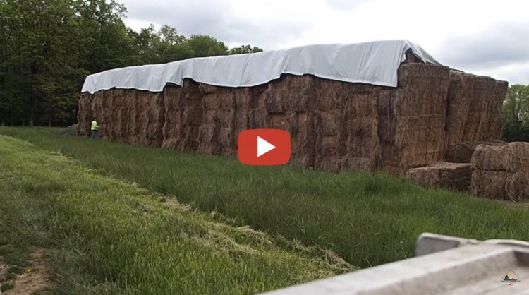 Folding Tarps The Right Way onelonleyfarmer