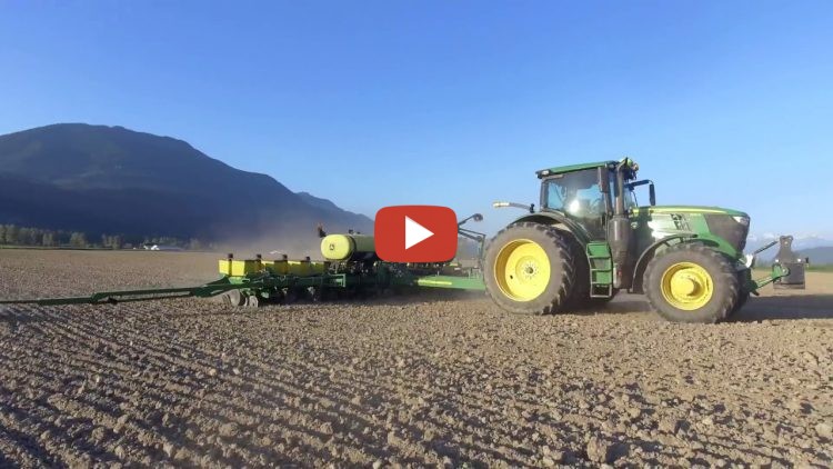 Rosegate Custom 12 row Corn Planting 2017 || Suntasia Farms || Britsh ...