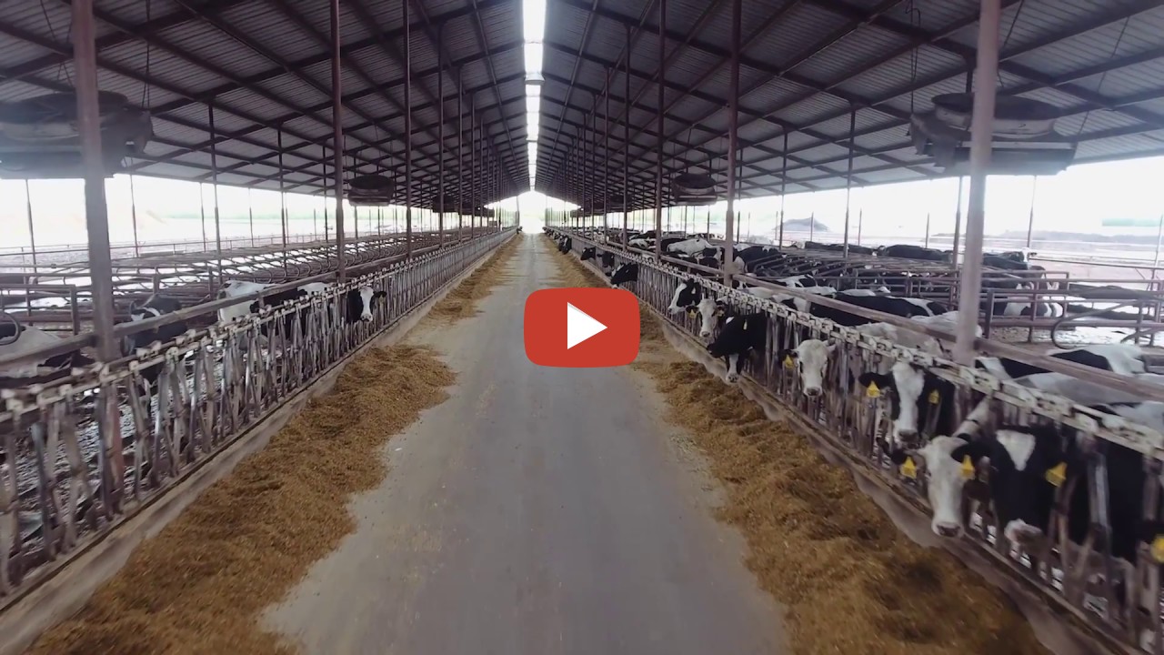 Marchy Dairy highlights impacts of state's overreach -- Worth Your Fight
