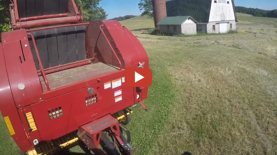 Baling the swamp DLH Farms. Round baling in a feild that has standing ...
