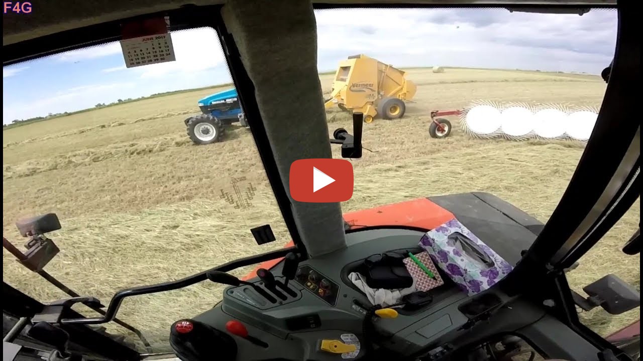 Alfalfa Ready after 24 Hours - AGCO 8785, Rowse V-Rake, NH 8870 ...