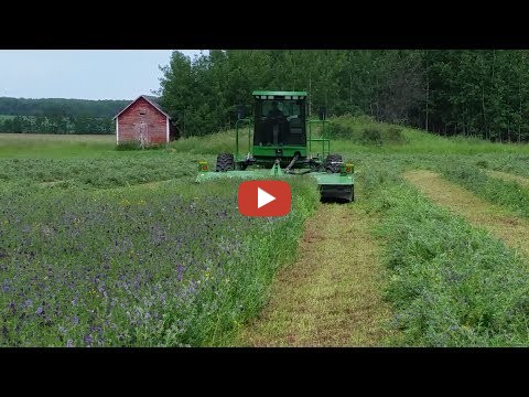 Mowing Alfalfa Hay..John Deere 4990 -- Northern farmer