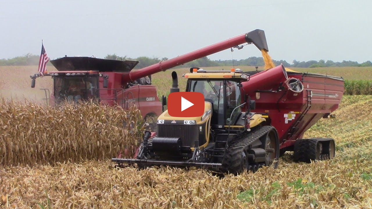 2017 Corn Shelling Season Underway -- bigtractorpower