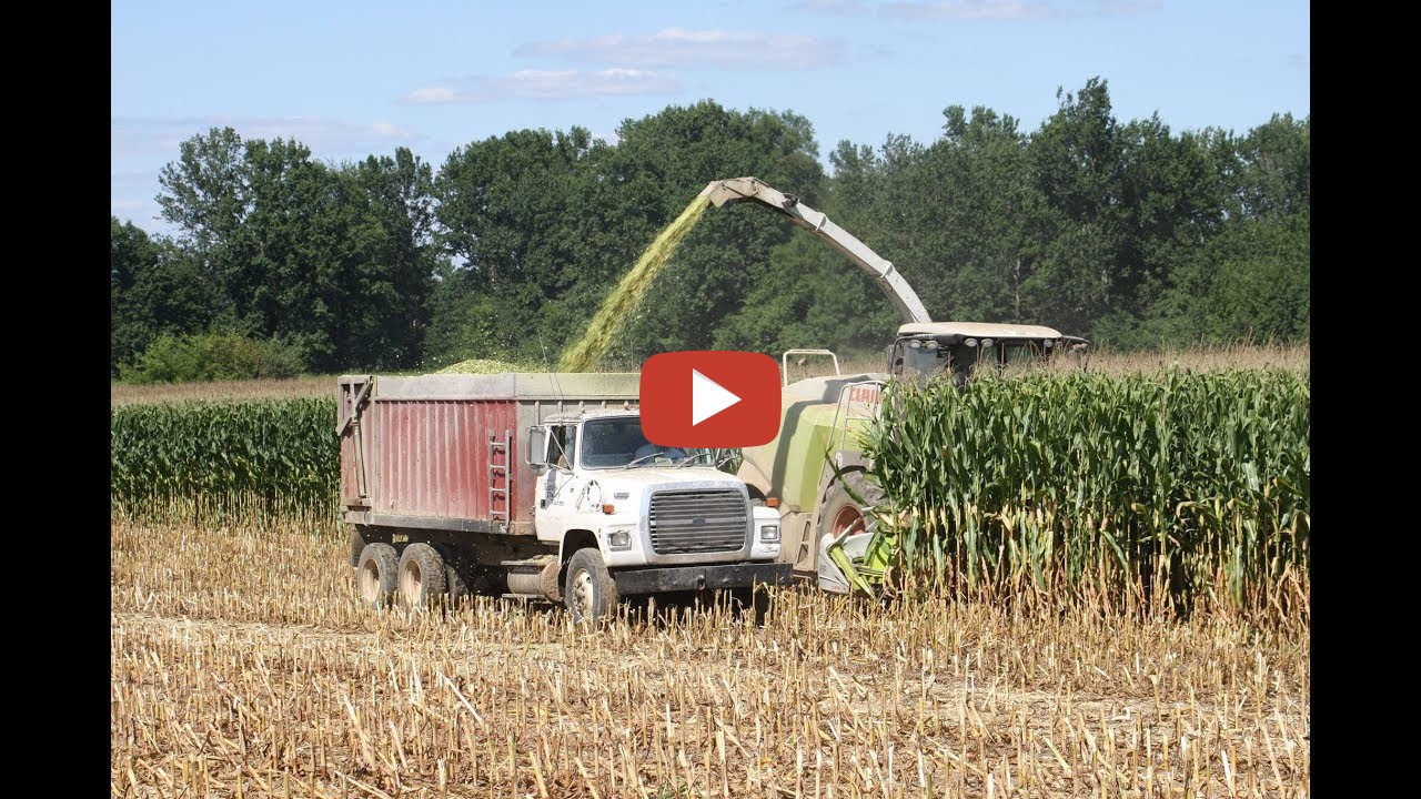 626 hp CLAAS 960 Jaguar Chopping Corn Silage -- bigtractorpower