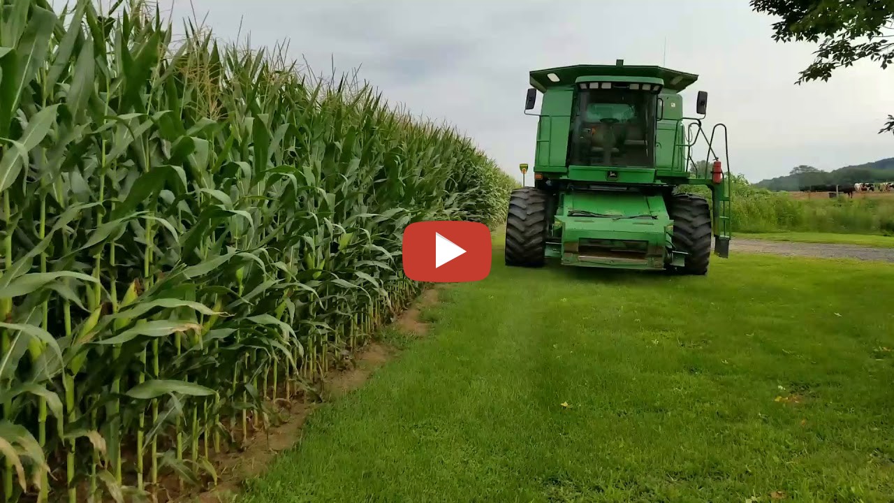 Crops rain and something new -Getting ready for a surprise here on the ...