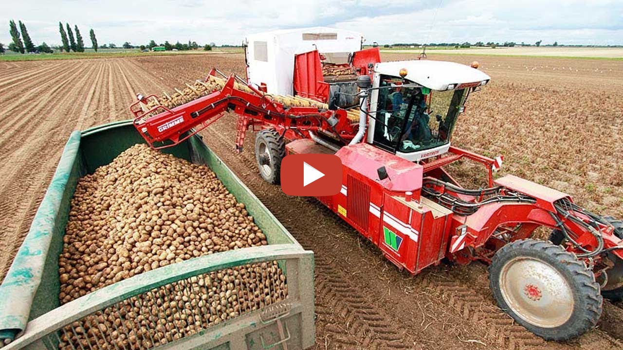 Noal Farm 2017 Potato harvest with Spudnik 6640 and John Deere 8260R