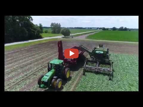 Pickle Harvest 2017 -- Werner Farms
