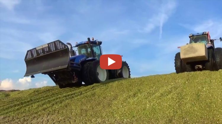 2017 Start of the corn silage chopping season near Versailles Ohio. In ...