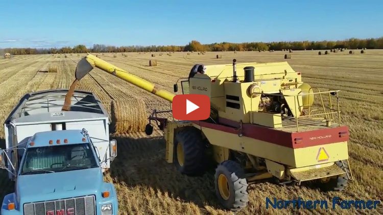 Northern farmer -- Finally getting the wheat taken off....2017 Wheat ...