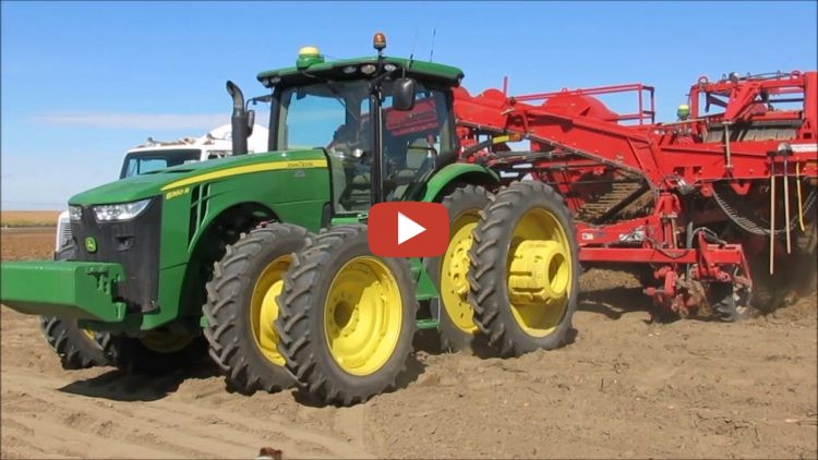 Potato Harvest With Spudnik And John Deere Multiple Farms 2017