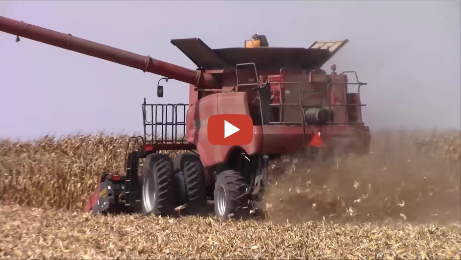 Central Illinois Corn harvest 2017. Case IH 6088 and 2388 Combines with ...