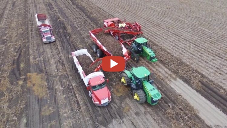 Potato harvest 12 row with John Deere MachineSync, utilizing a Spudnik ...