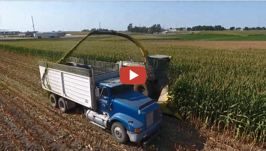 Silage Harvest with a John Deere chopper and a Case ih NE Iowa 2017 ...
