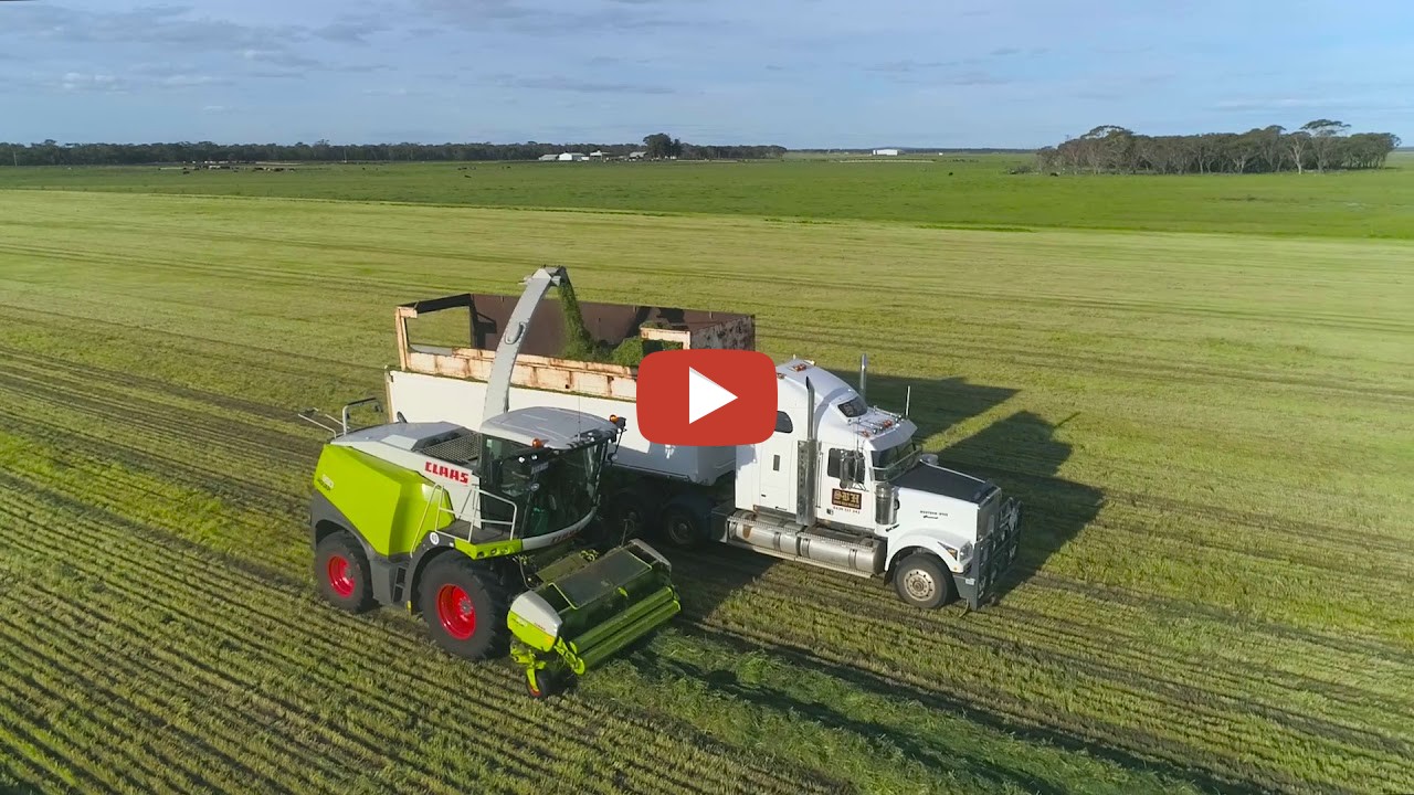 Silage with Claas and JCB Rancho East 2017 Australia -- FPV Lindo