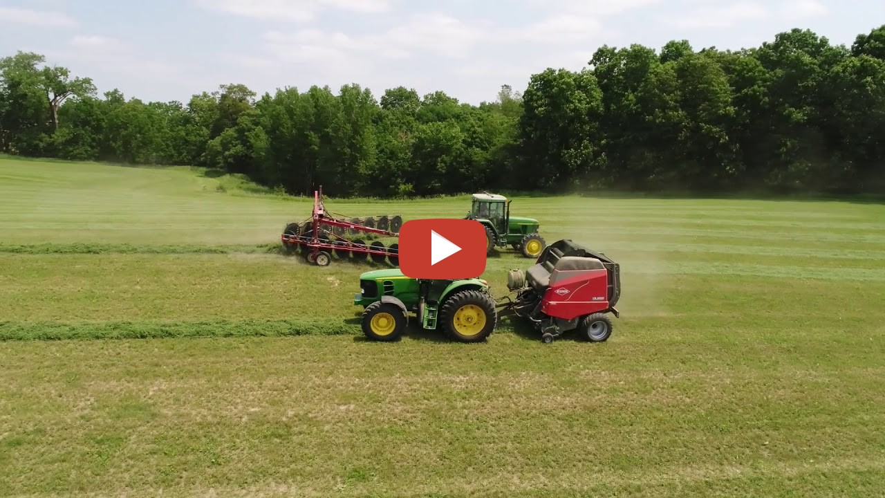 2017 forage harvest to feed them hungry cows! Crops in the video where ...