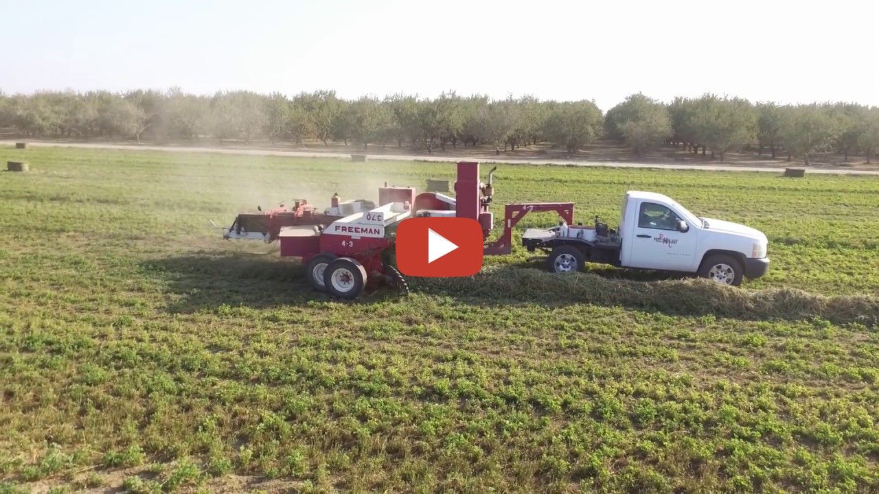 Freeman Baler California Style -- Loran Grant