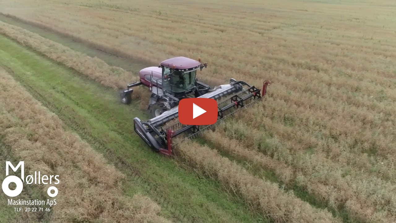 MacDon M150 mowing canola.....